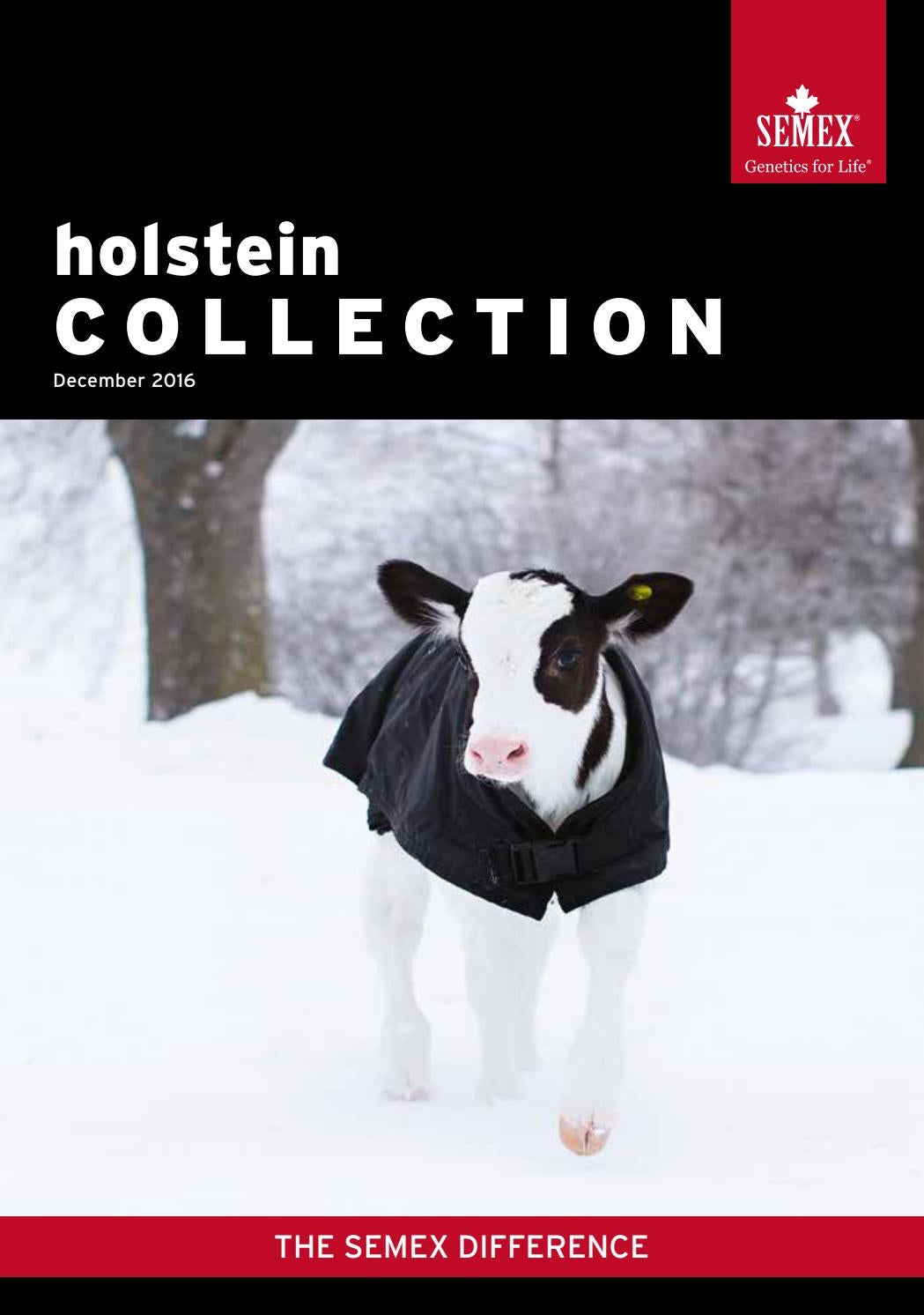 Semex UK - Holstein Sire Directory December 2016 by Semex - Issuu