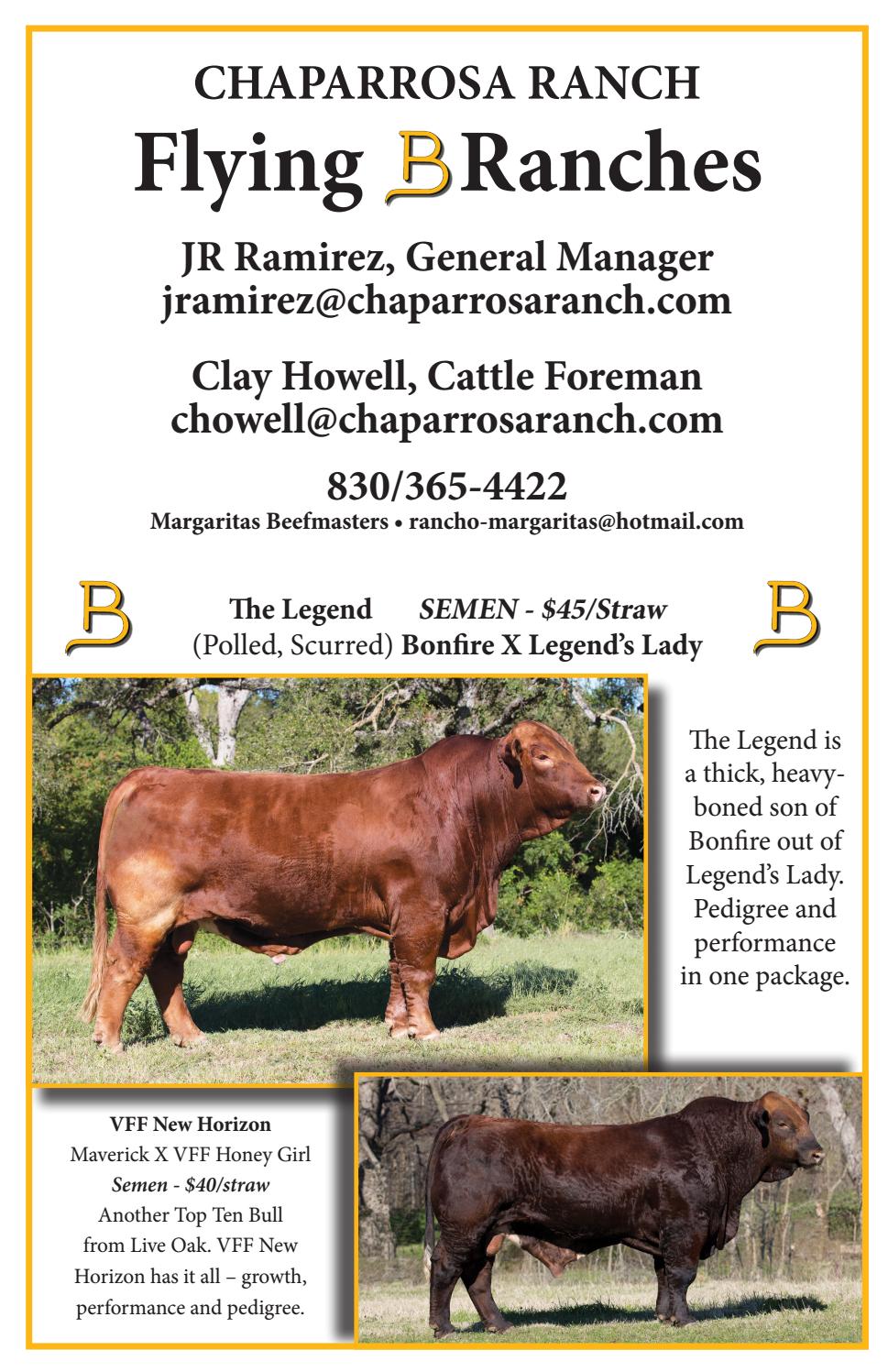 The Banner - Beefmaster Seedstock Directory 2017 by Beefmaster Breeders ...