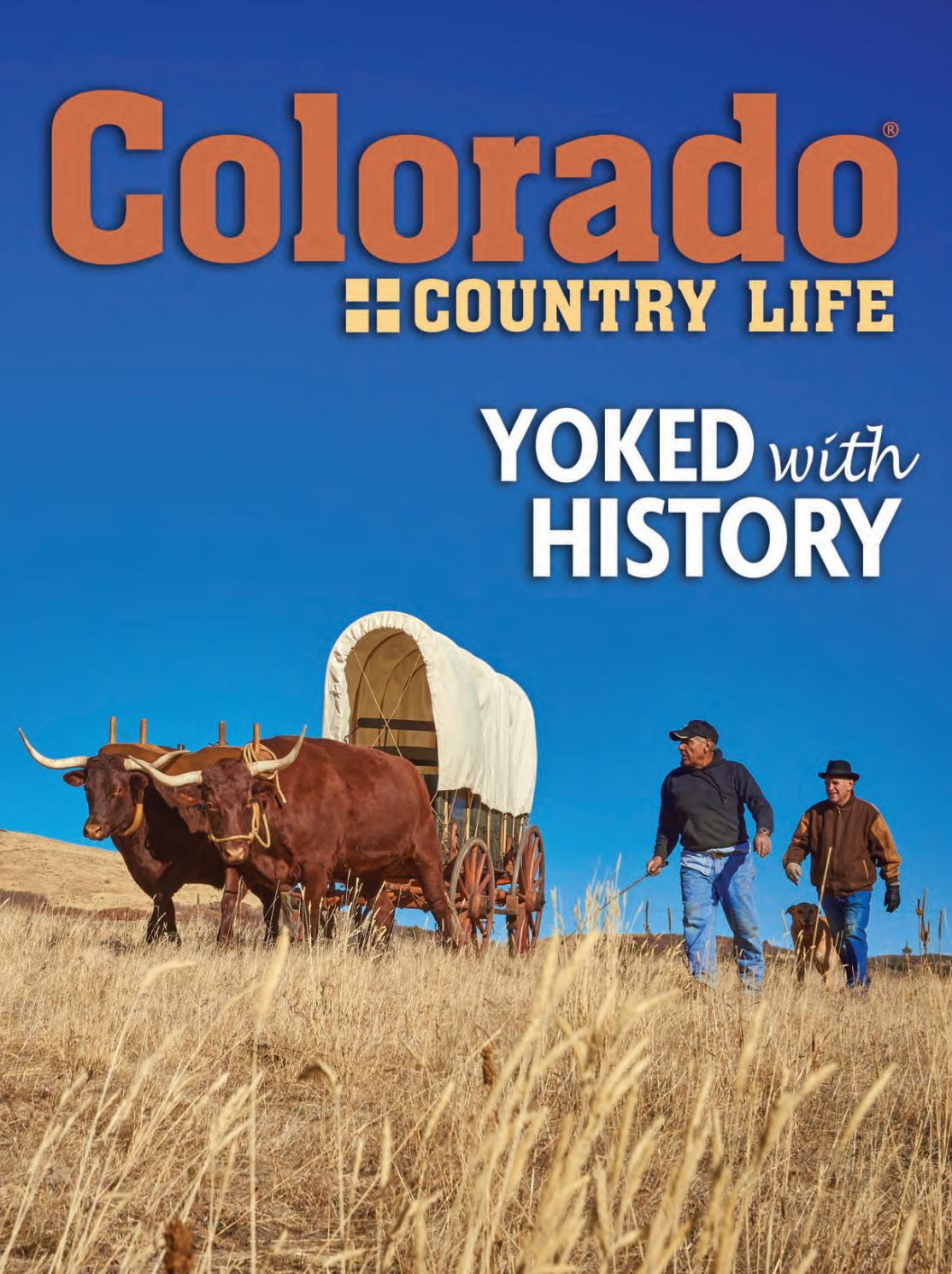 Colorado Country Life January 2017 Highline by American MainStreet ...