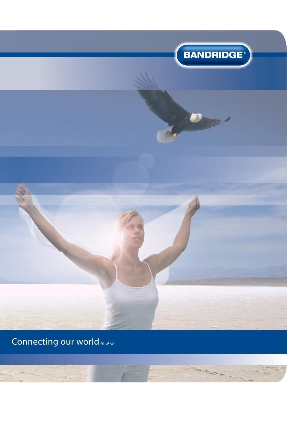 Bandridge Catalogue (EN/DE/FR/NL) by Nedis - Issuu