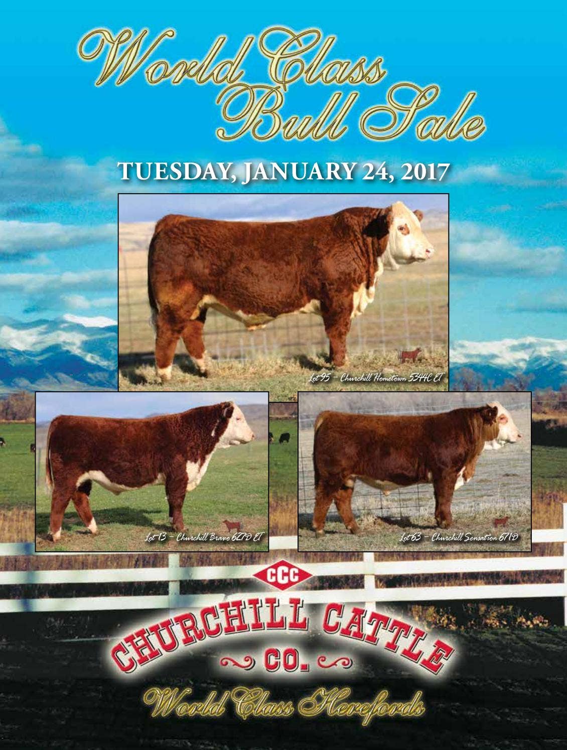 Churchill Cattle Co. Bull Sale by American Hereford Association - Issuu