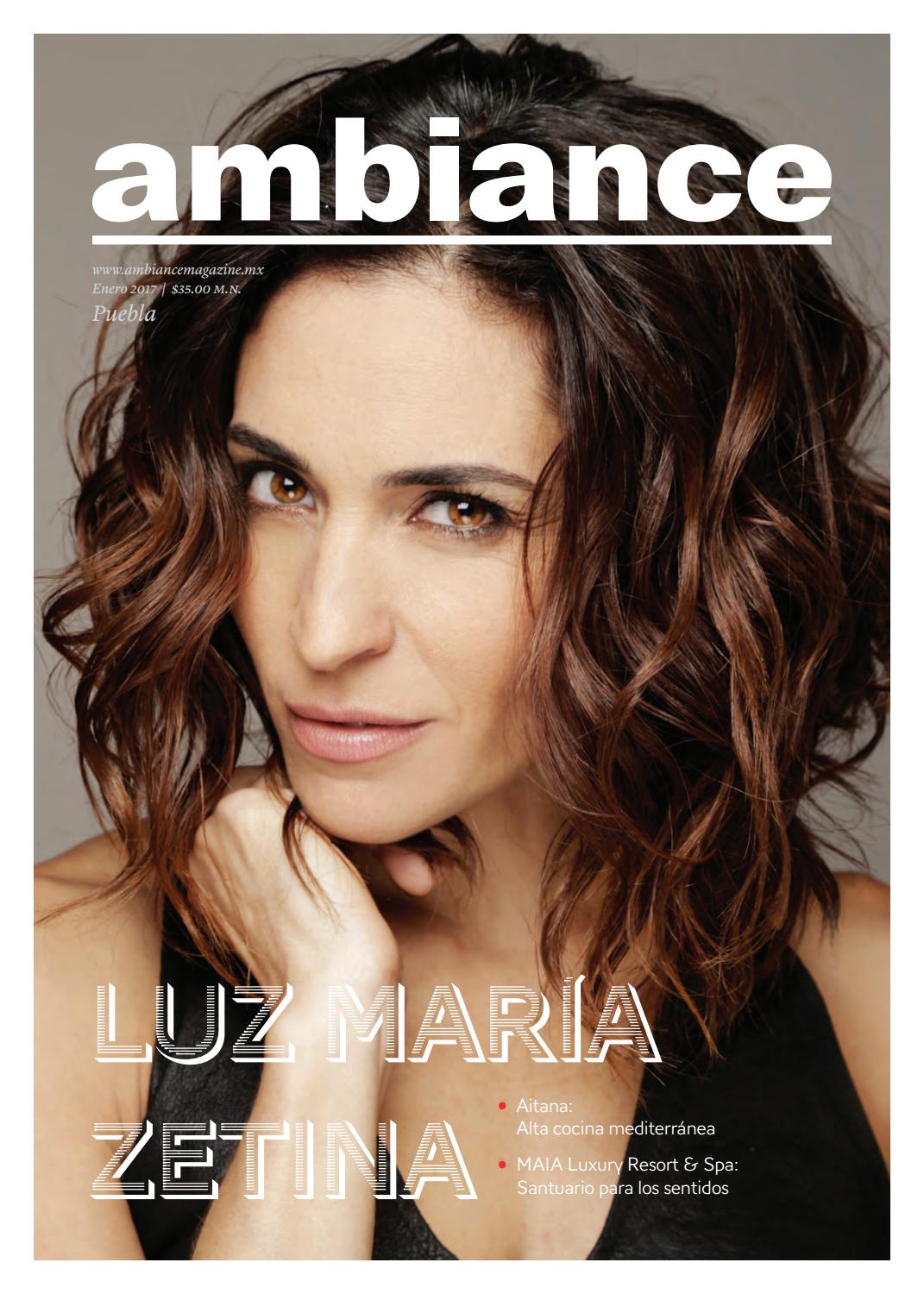 Ambiance Puebla No. 135 Enero 2017 by Ambiance Magazine - Issuu