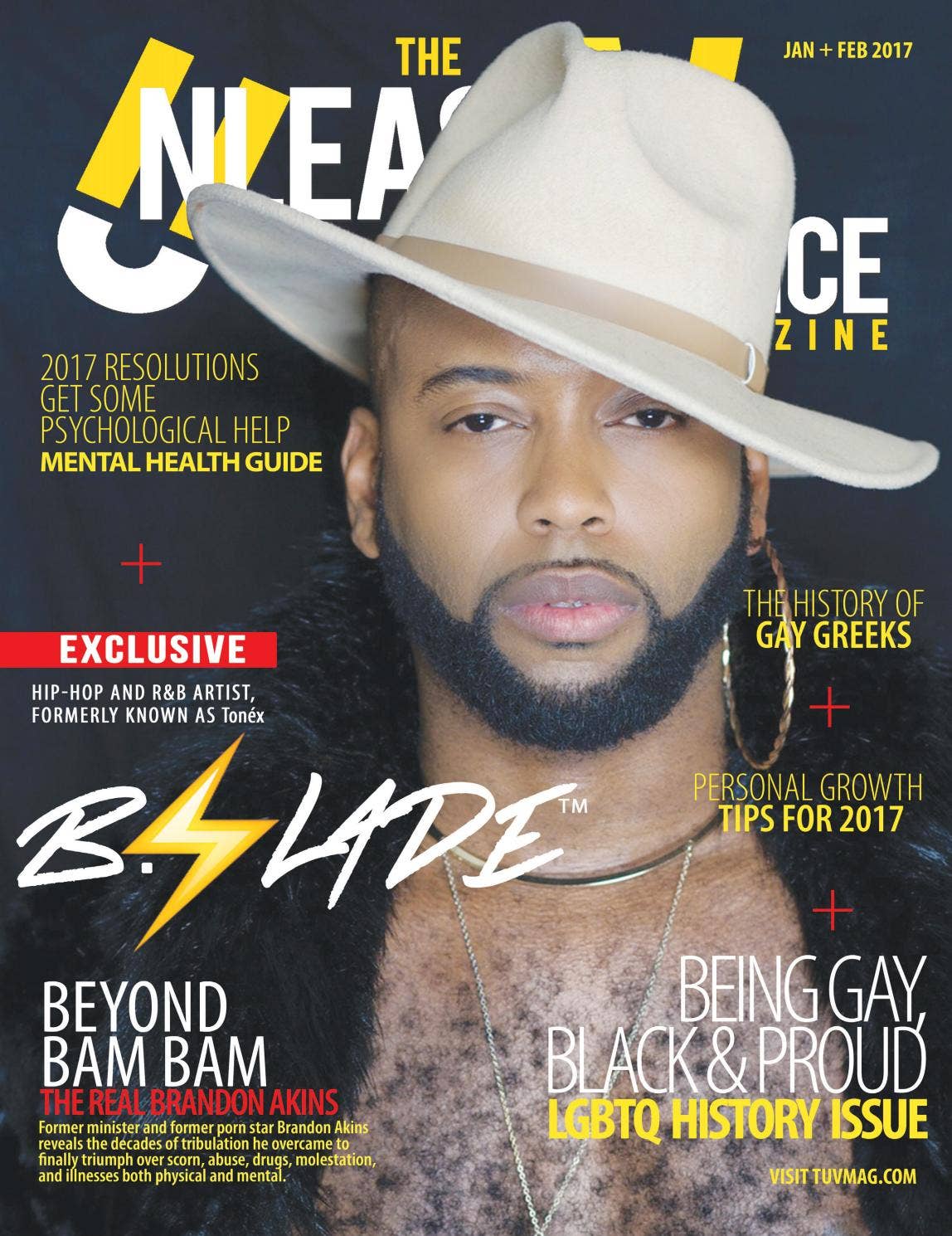 The Unleashed Voice 2017 January February LGBTQ History Issue by The ...