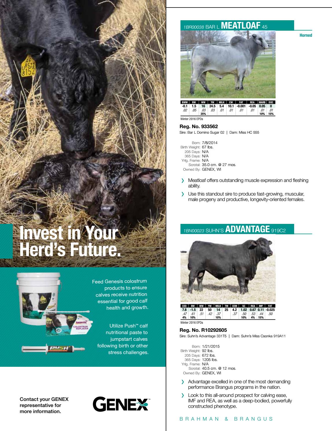 2017 Beef Genetic Management Guide by GENEX - Issuu