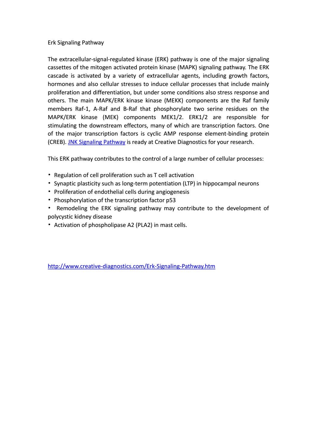 Erk signaling pathway pdf by Creative Diagnostics - Issuu