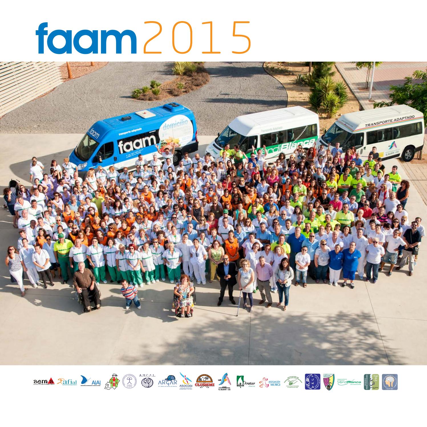 BALANCE DE GESTIÓN FAAM 2015 by FAAM - Issuu