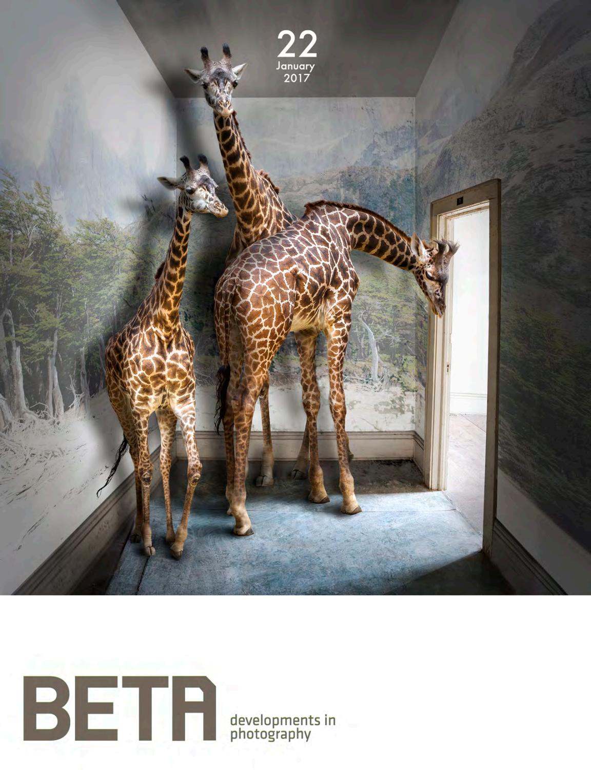 Beta 22 by BETA developments in photography - Issuu