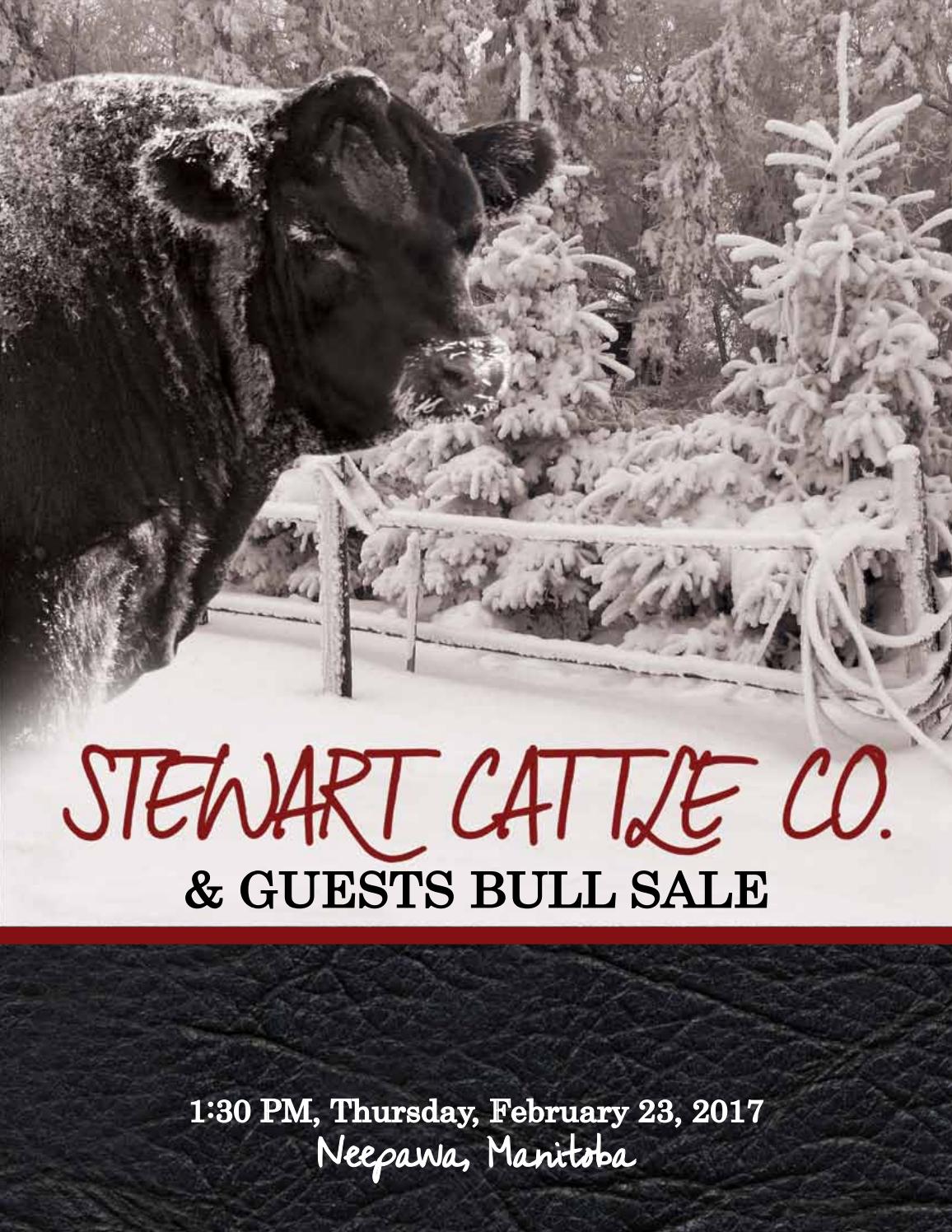 Stewart Cattle Co & Guests 2017 Bull Sale by Coyote Publishing Ltd. - Issuu