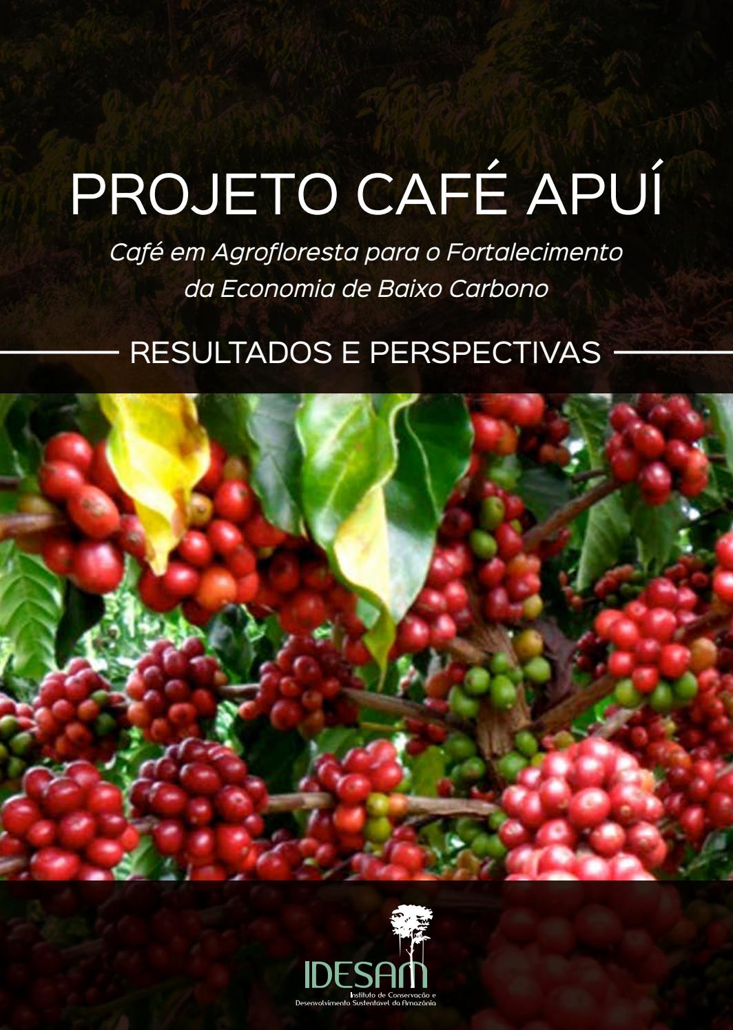 Projeto Café Apuí: Resultados e Perspectivas by Ana Medeiros - Issuu