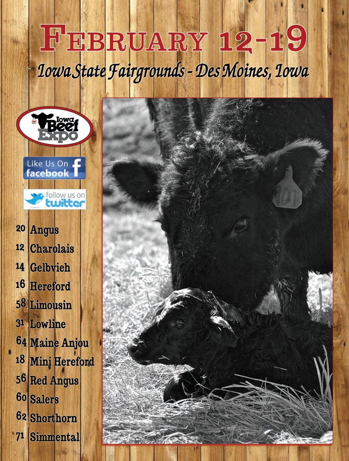 Iowa Beef Expo by Monti West Design - Issuu