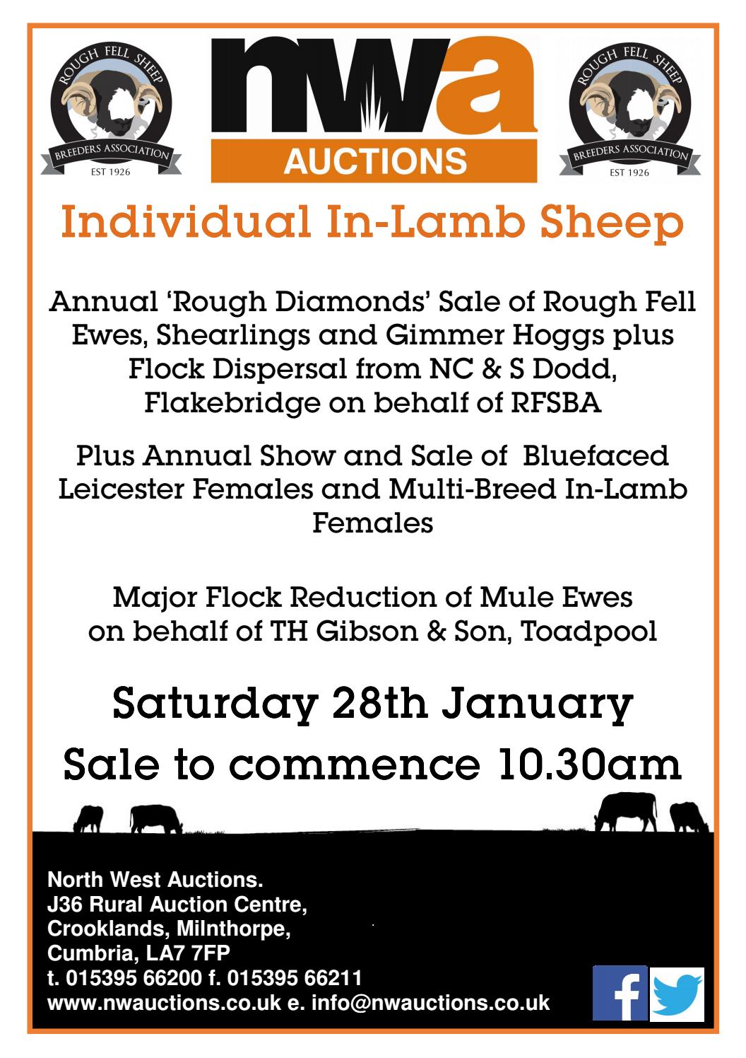 J36 In-Lamb Sale by North West Auctions - Issuu