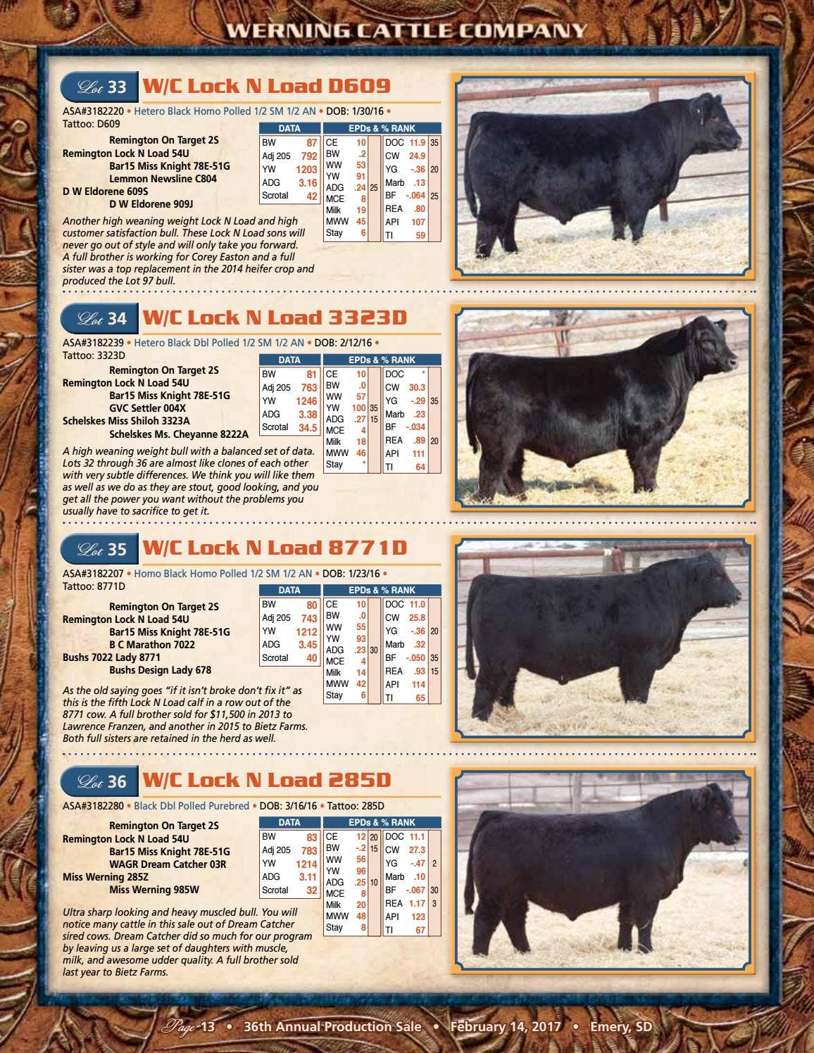 Werning Cattle Sale Catalog 2017 by Eberspacher Enterprises - Issuu