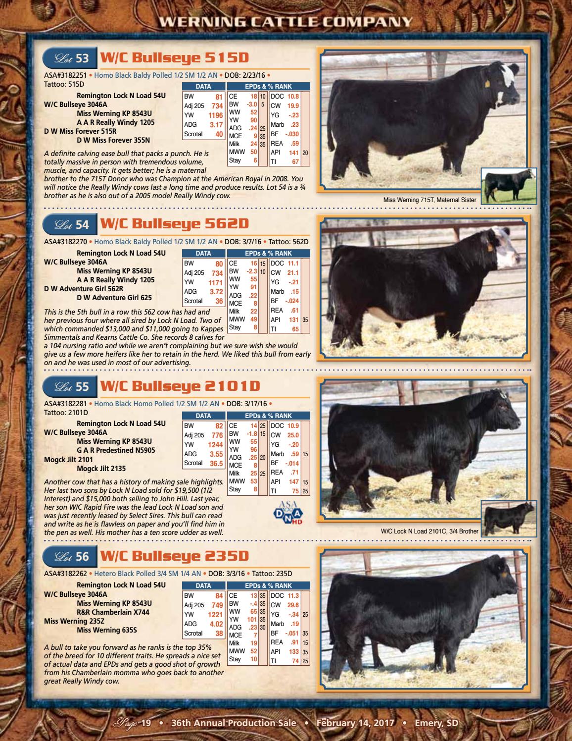 Werning Cattle Sale Catalog 2017 by Eberspacher Enterprises - Issuu