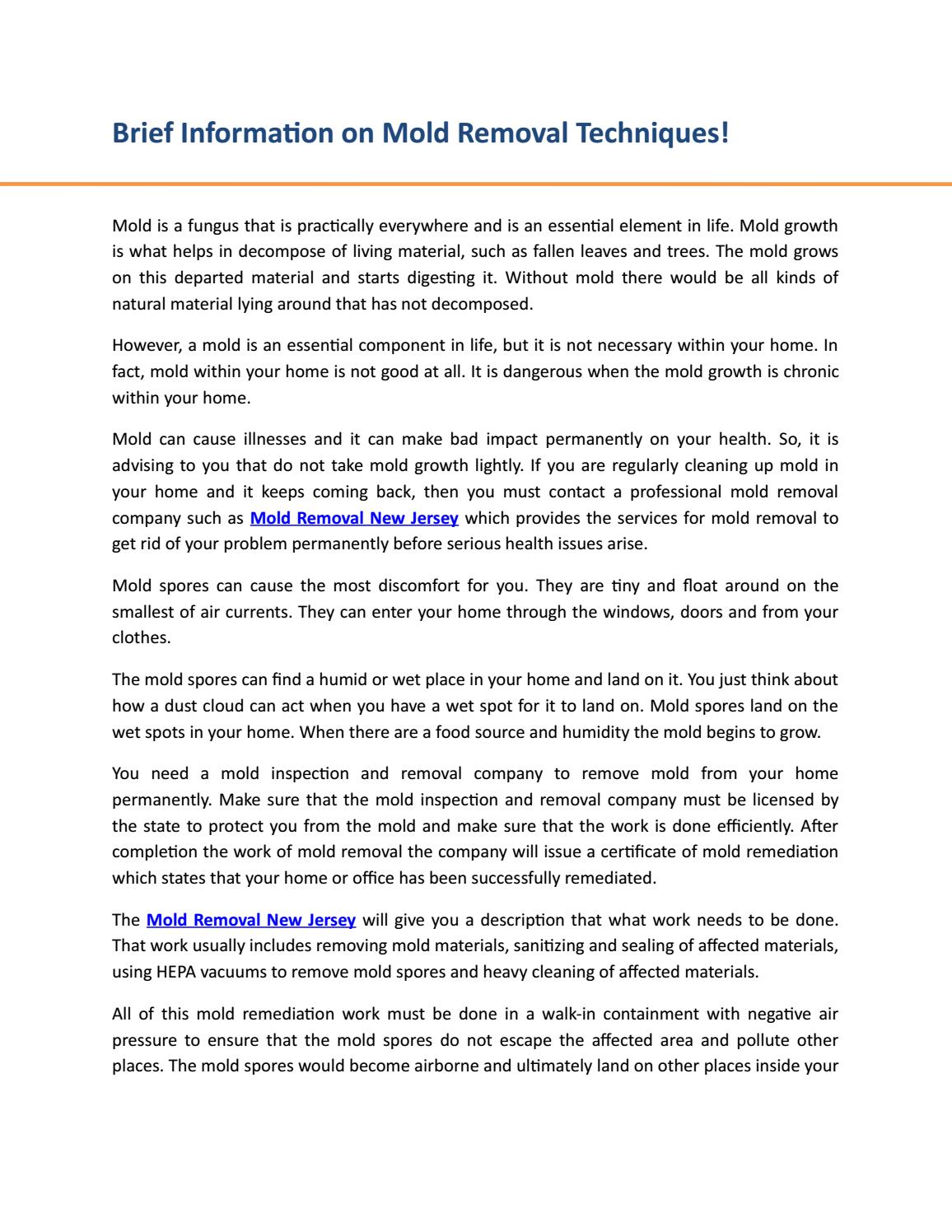 Brief information on mold removal techniques by United Safety LLC - Issuu