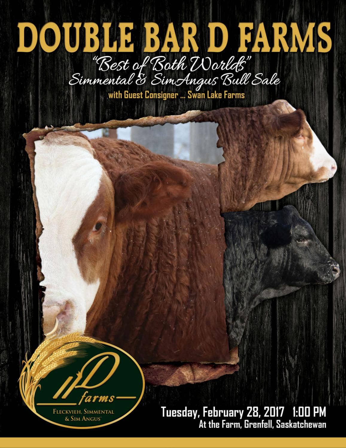 Double Bar D Farms Bull Sale 2017 by Bohrson Marketing Services Ltd ...