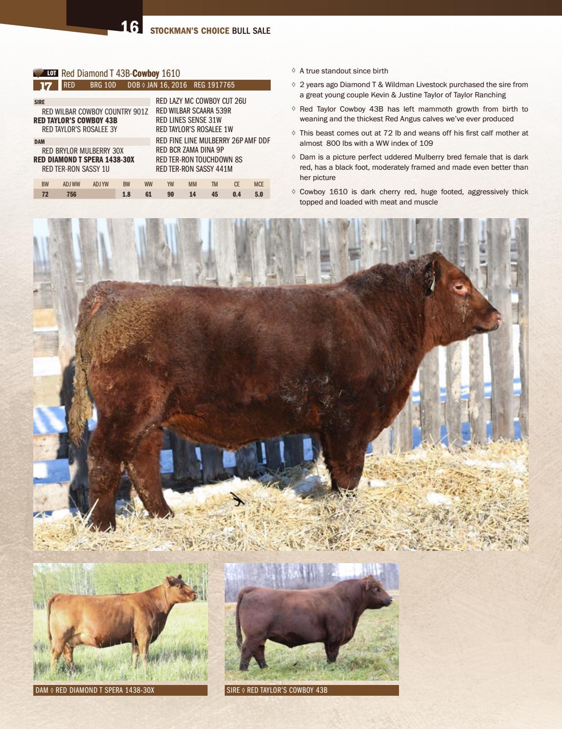 Diamond T Cattle & Wildman Livestock 2017 Stockman's Choice Bull Sale ...