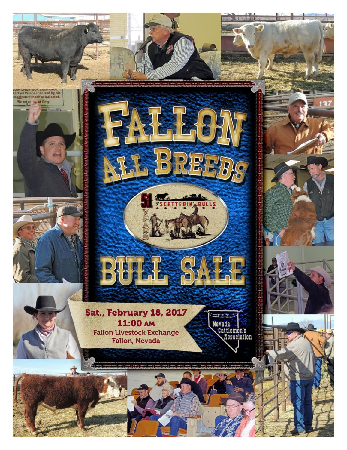 Nevada Cattlemen's Assoc. Fallon Bull Sale Catalog 2017 by JE ...
