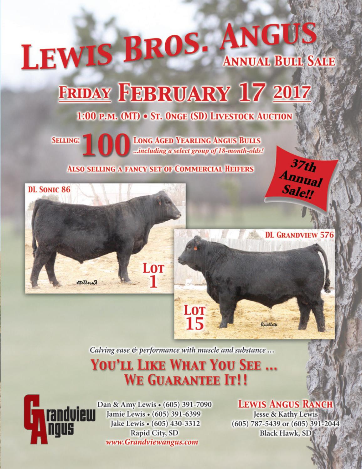 Lewis bros 2017 catalog by RPI Promotions - Issuu