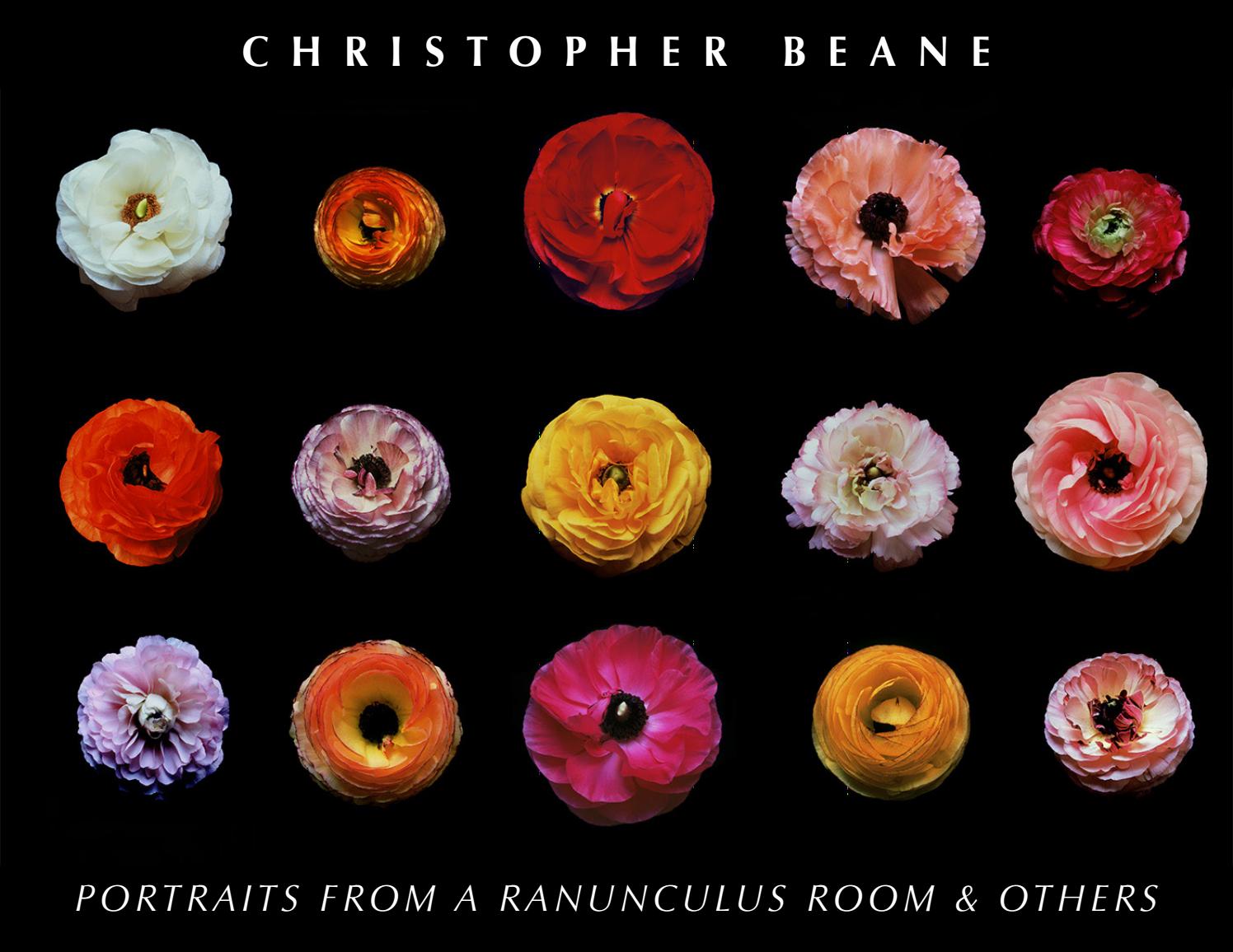 Christopher Beane by Jim Kempner Fine Art - Issuu