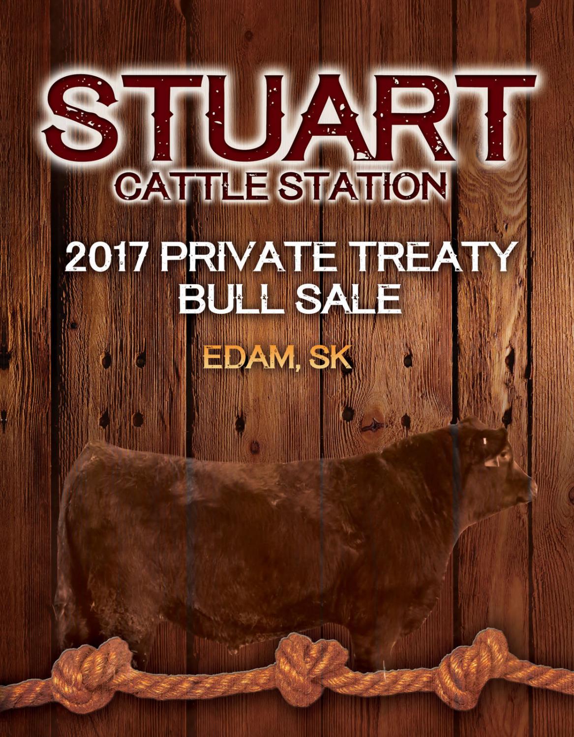 Stuart Cattle Station 2017 Private Treaty Angus Bull Sale by Today's ...