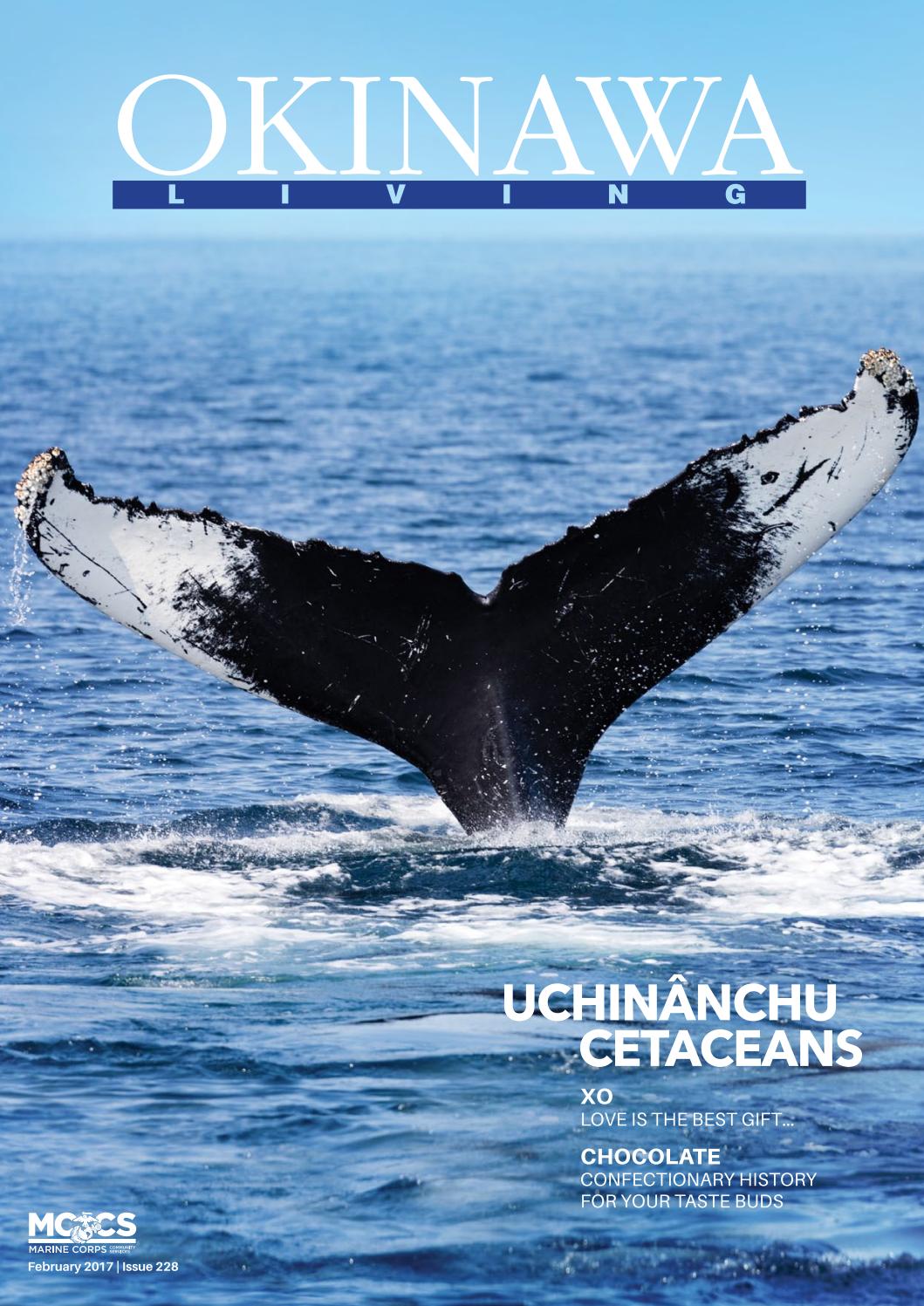 Okinawa Living Magazine by MCCS Okinawa - Issuu