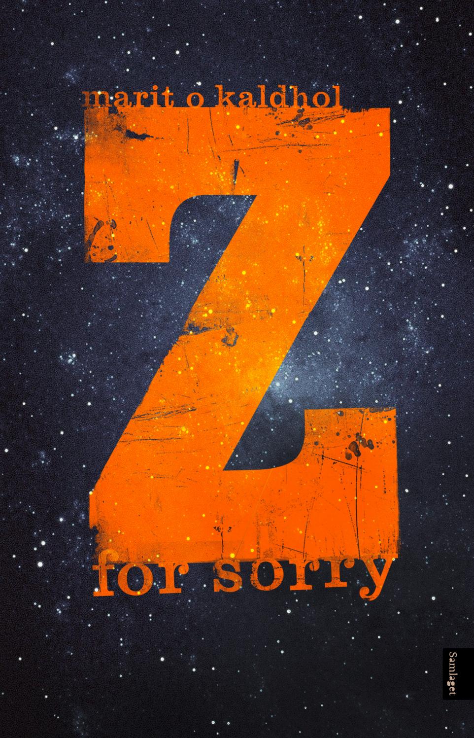 Z for sorry by Det Norske Samlaget - Issuu