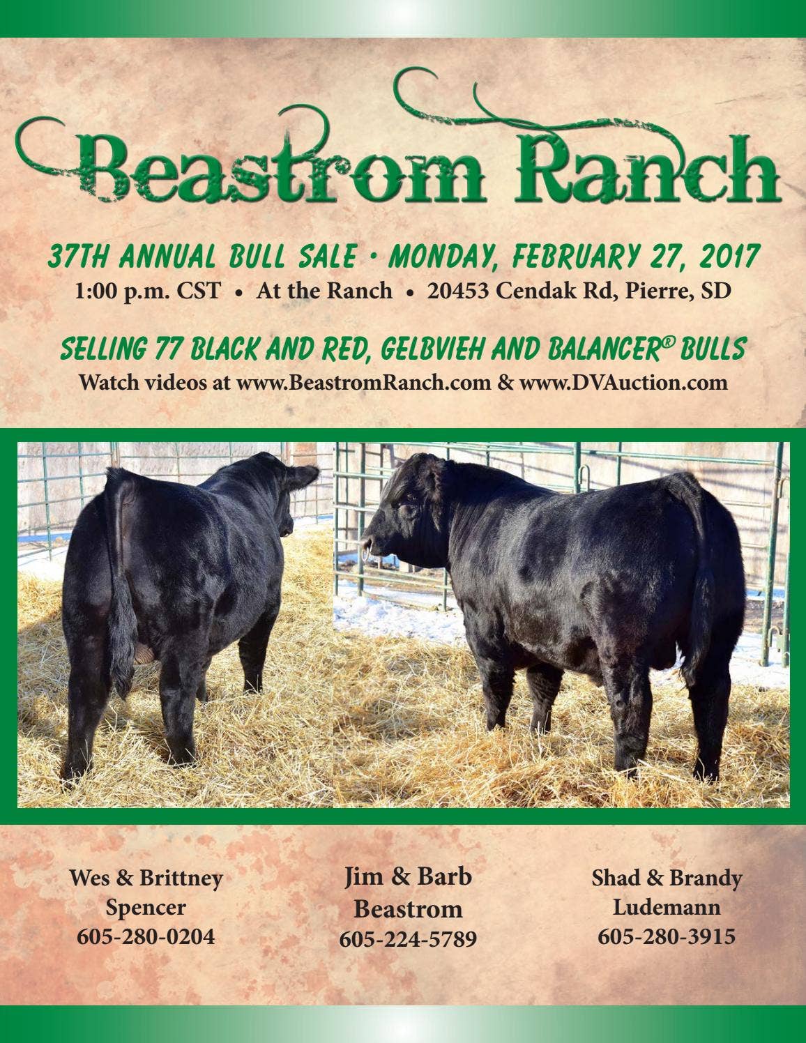 Beastrom Ranch 37th Annual Bull Sale by LivestockDirect - Issuu