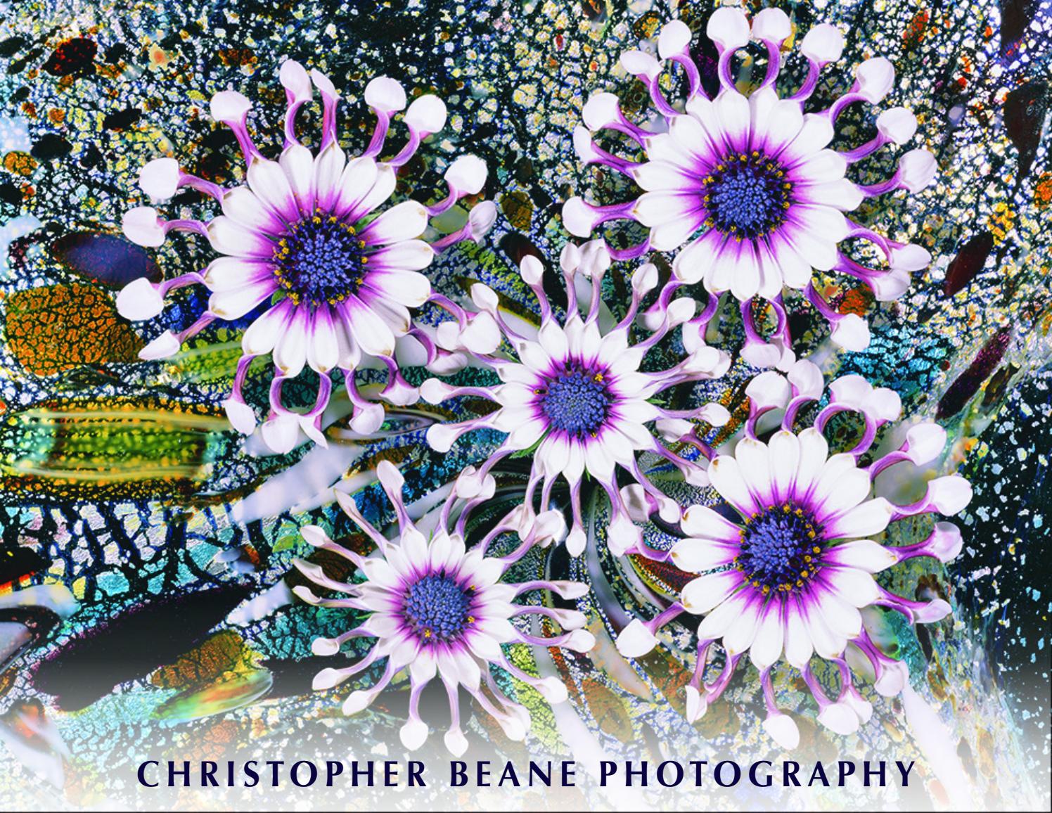 Christopher Beane by Jim Kempner Fine Art - Issuu