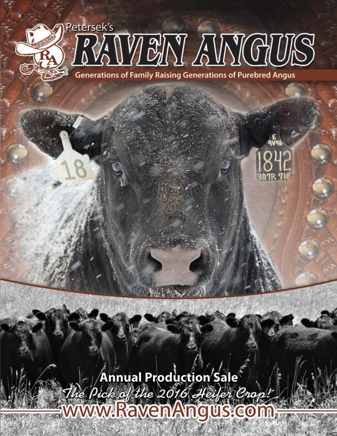 Raven angus catalog by RPI Promotions - Issuu