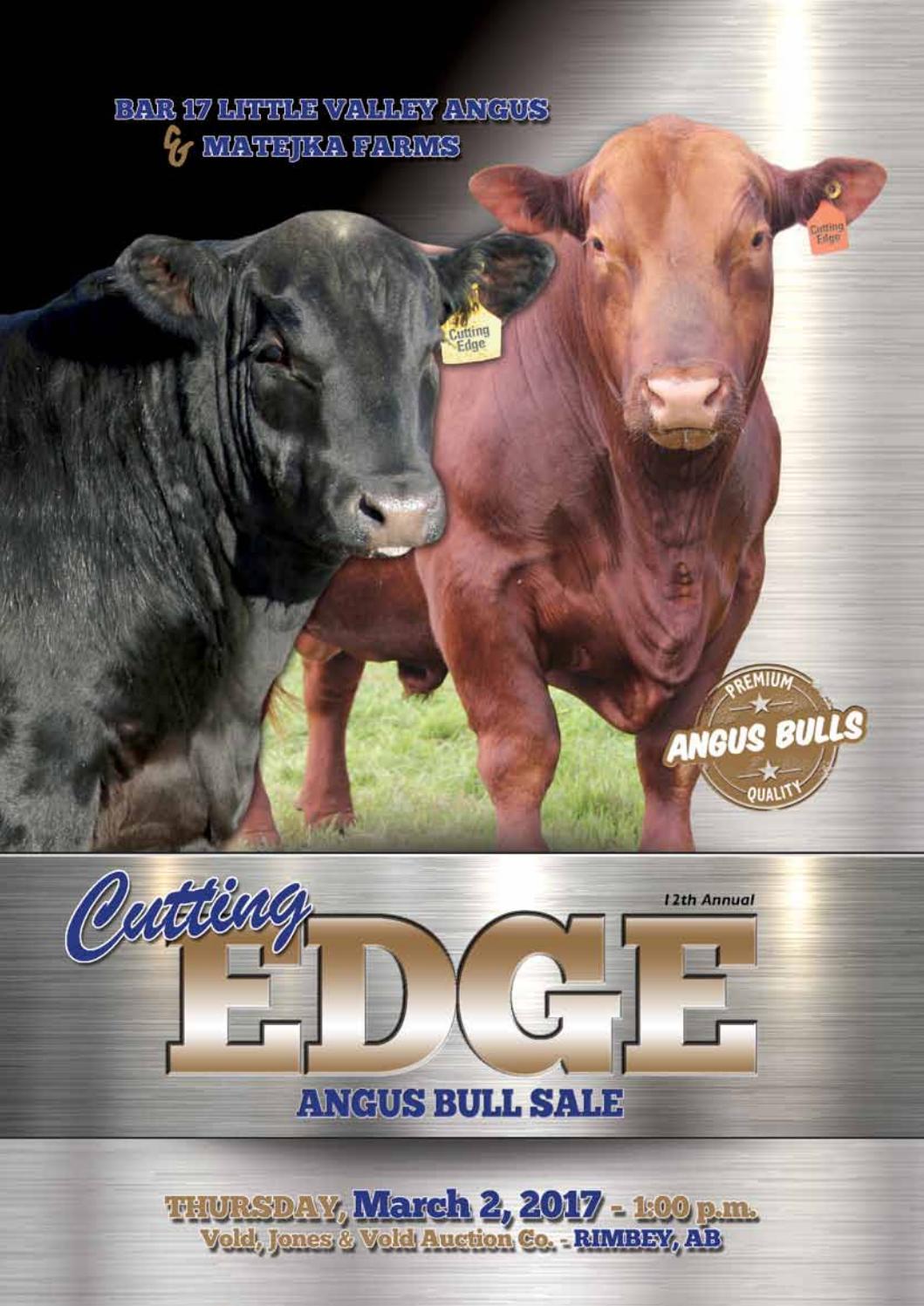Cutting Edge 12th Annual Bull Sale by Bohrson Marketing Services Ltd ...