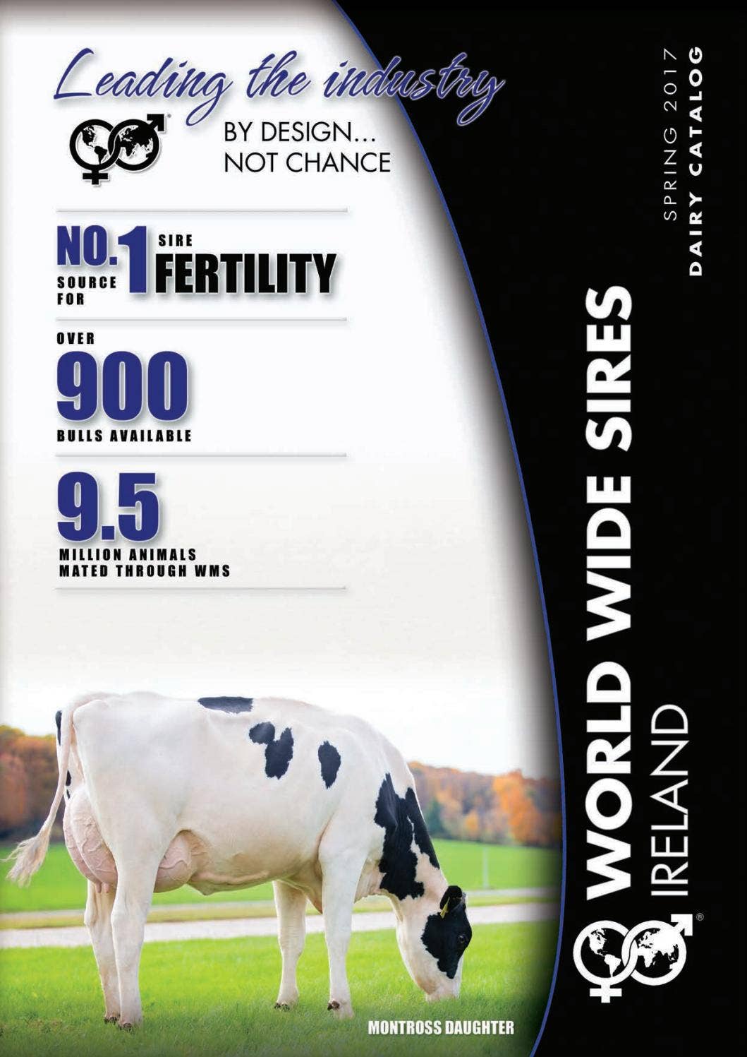 WWS IRL Brochure SPRING 2017 by WWS Ireland - Issuu