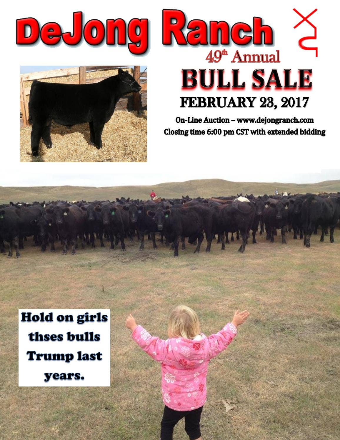DeJong Ranch 2017 Bull Sale by LivestockDirect - Issuu