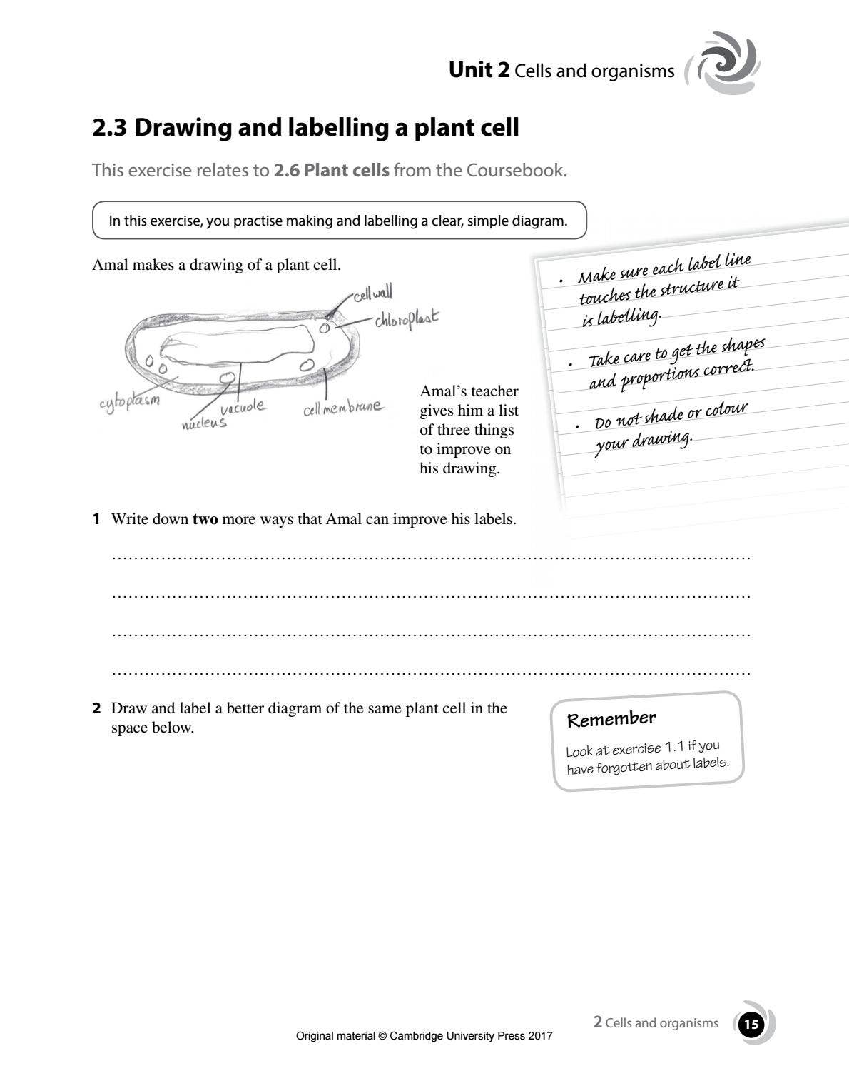 Preview Cambridge Checkpoint Science Skills Builder 7 by Cambridge ...