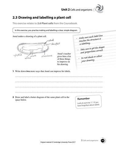 Preview Cambridge Checkpoint Science Skills Builder 7 by Cambridge ...