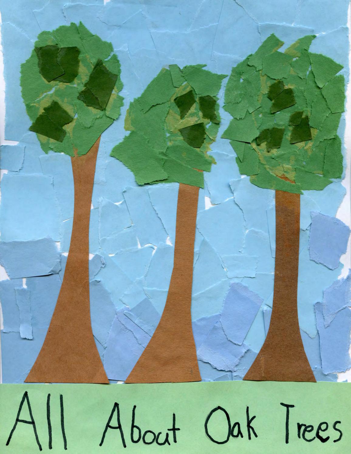 All About Oak Trees by Gail Prasad - Issuu