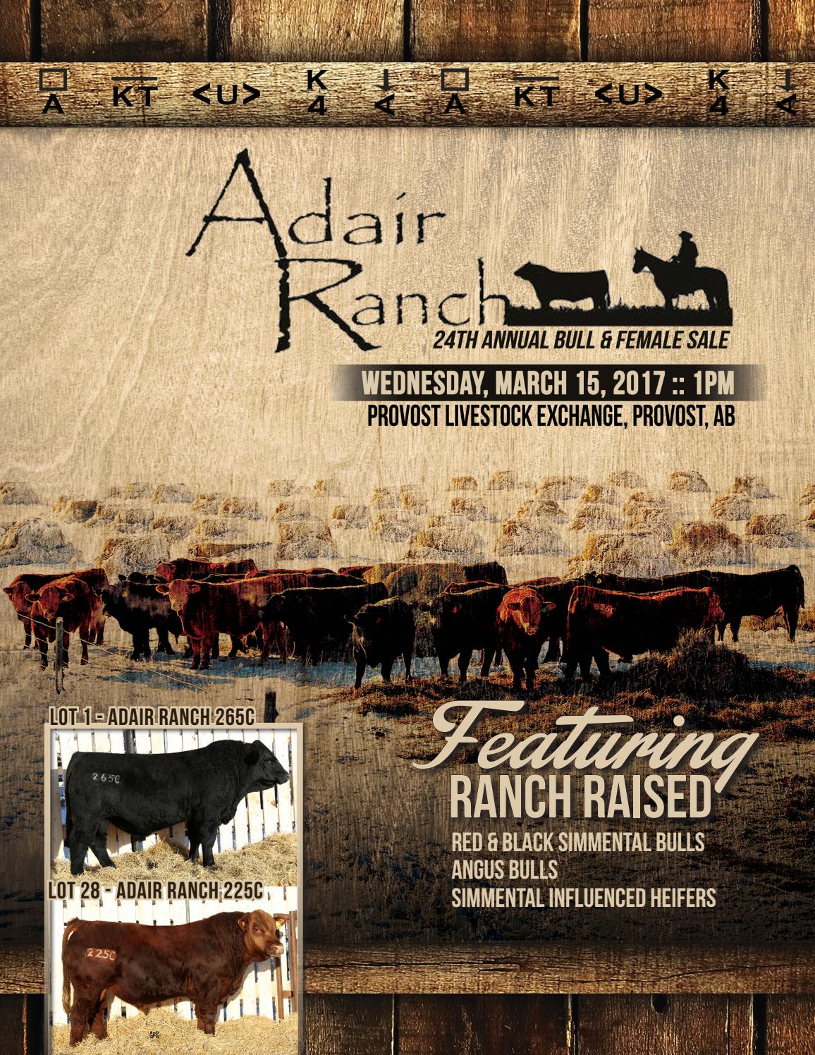 Adair Ranch 24th Annual Bull & Female Sale by Bohrson Marketing ...