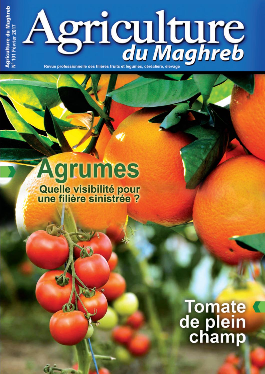 Agriculture du Maghreb N°101 by AGRICULTURE du MAGHREB - Issuu