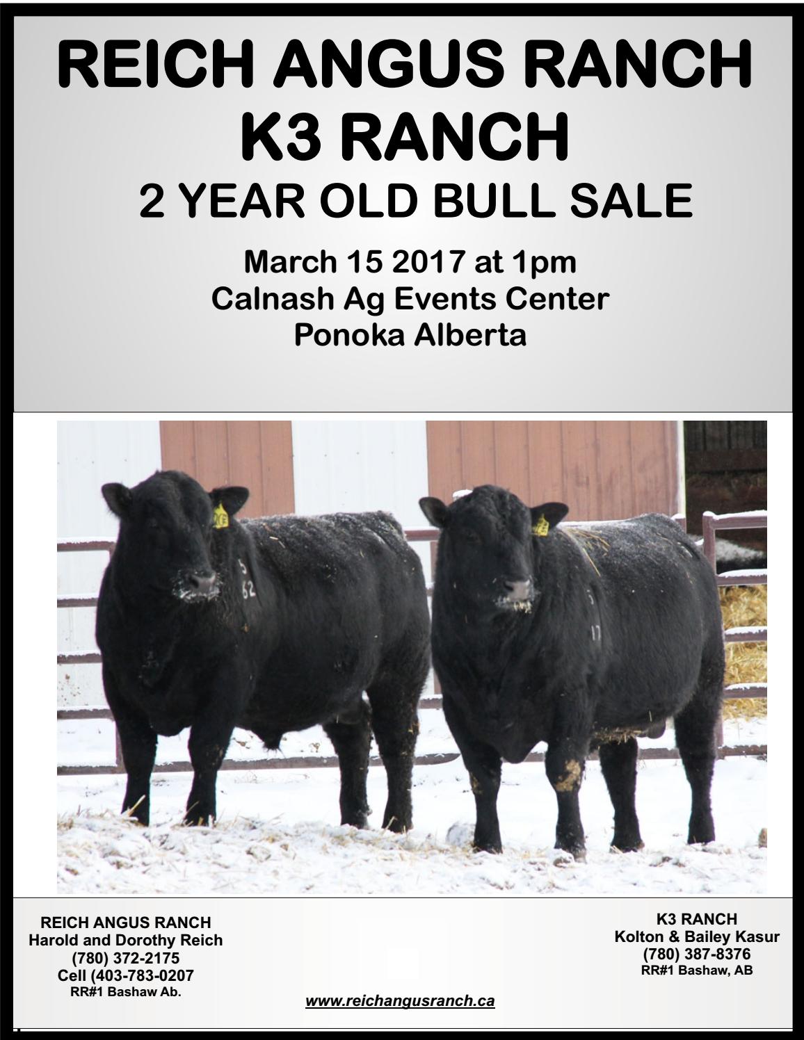 Reich Angus Ranch - K3 Ranch Bull Sale by Everything Angus - Issuu