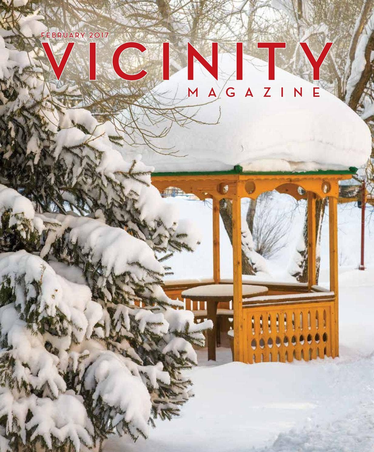 Vicinity Magazine by Vicinity Media Group - Issuu