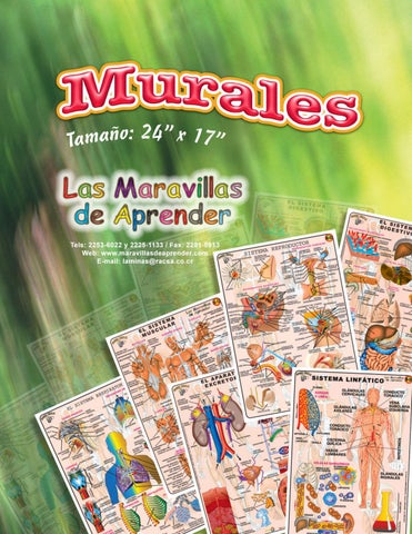Catalogo Murales by Mundi Chicle S.A - Issuu