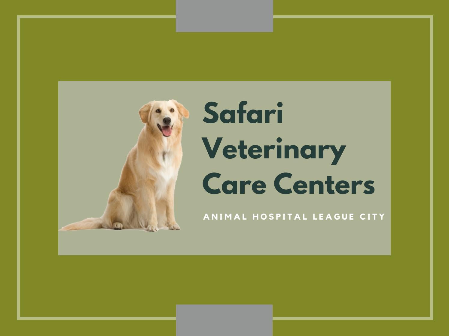 Veterinary Hospital League City by Safari Veterinary Care Centers - Issuu