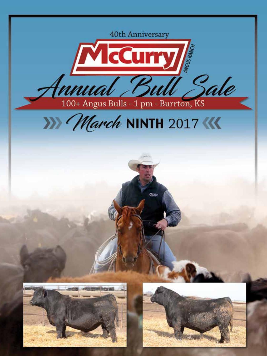2017 McCurry Angus Bull Sale by Tracy McMurphy - Issuu