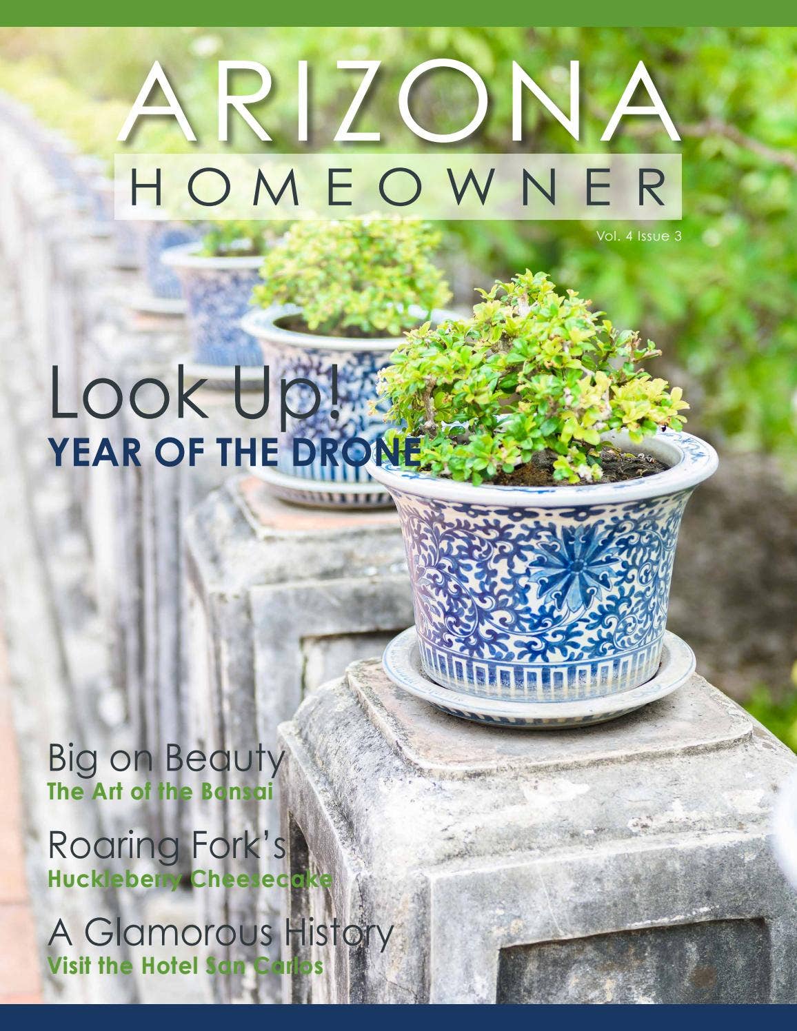Robin Bowie | Arizona Homeowner by Prime Source | DLP Marketing - Issuu
