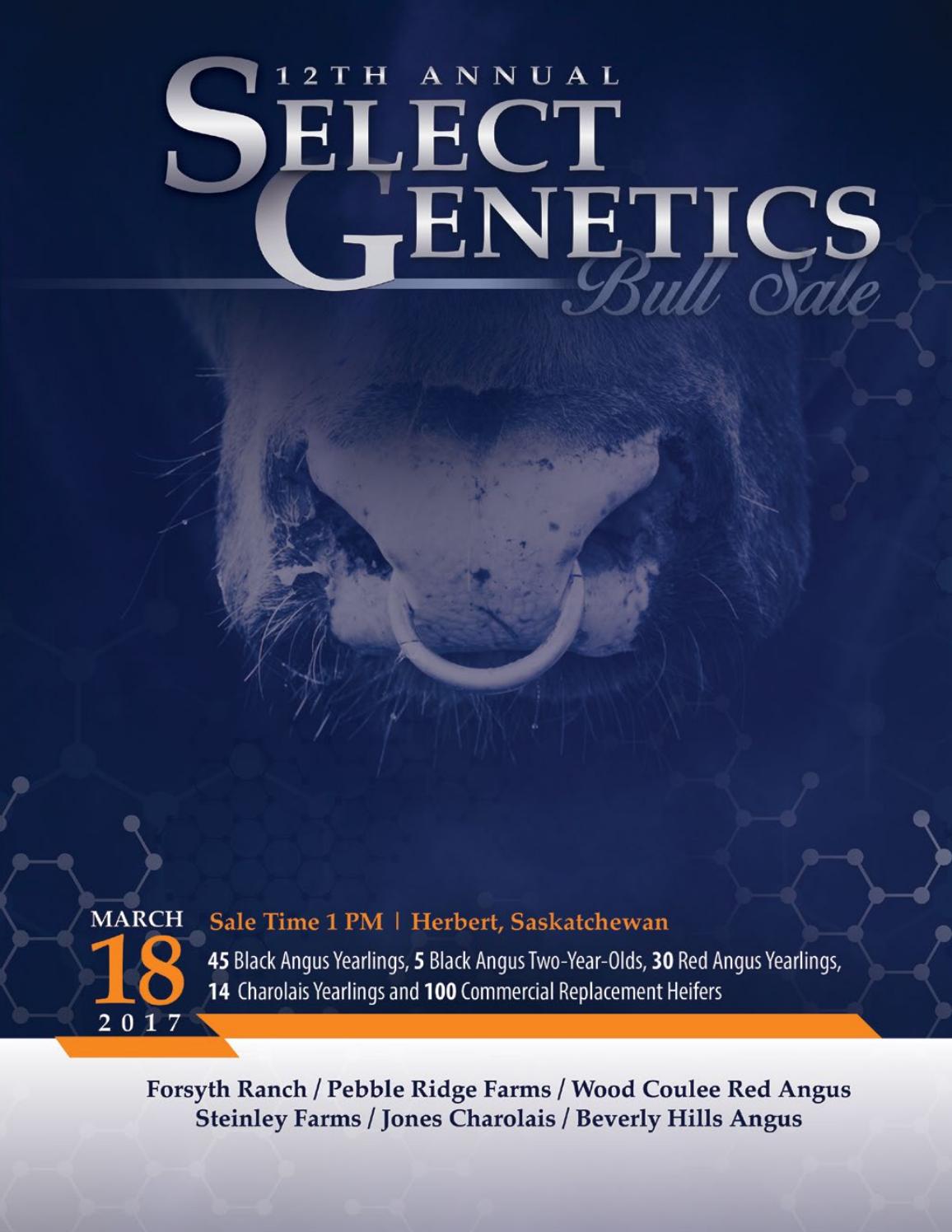 2017 12th Annual Select Genetics Bull Sale by jamieraepittman - Issuu