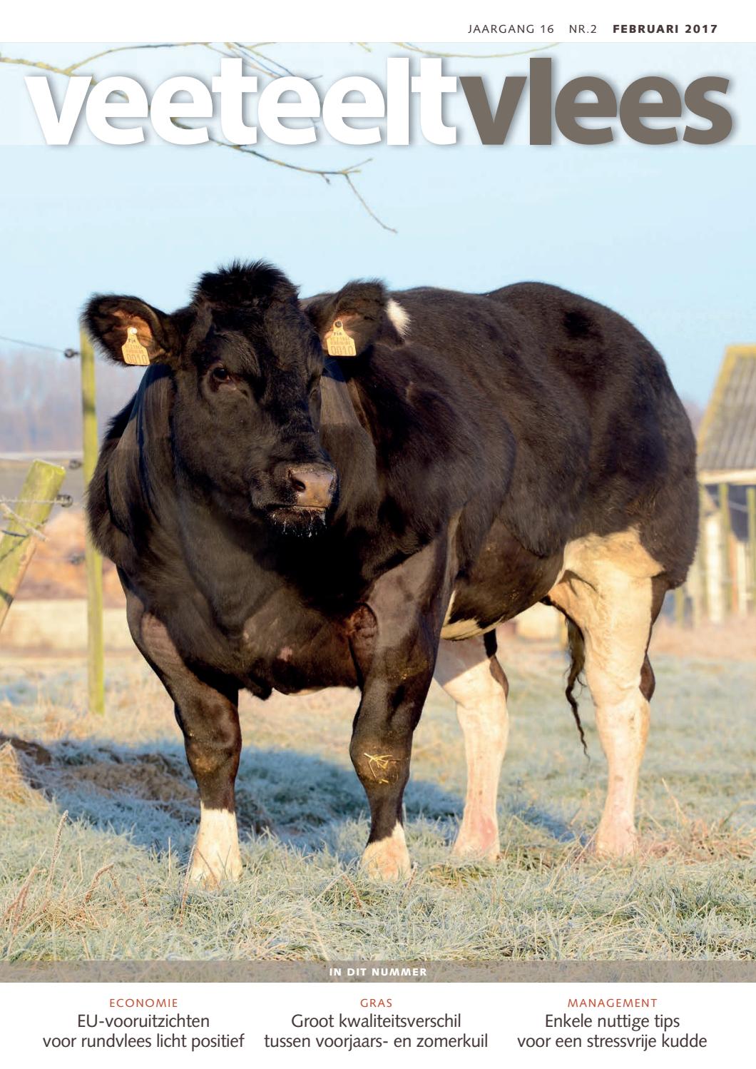 Veeteeltvlees februari 2017 by CRV Uitgeverij/CRV Publishers - Issuu