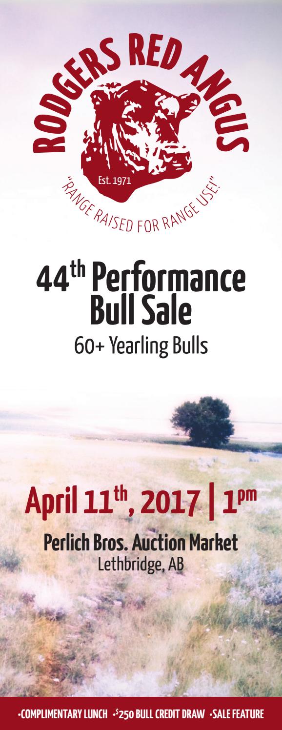Rodgers Red Angus 44th Performance Bull Sale by Canadian Angus ...