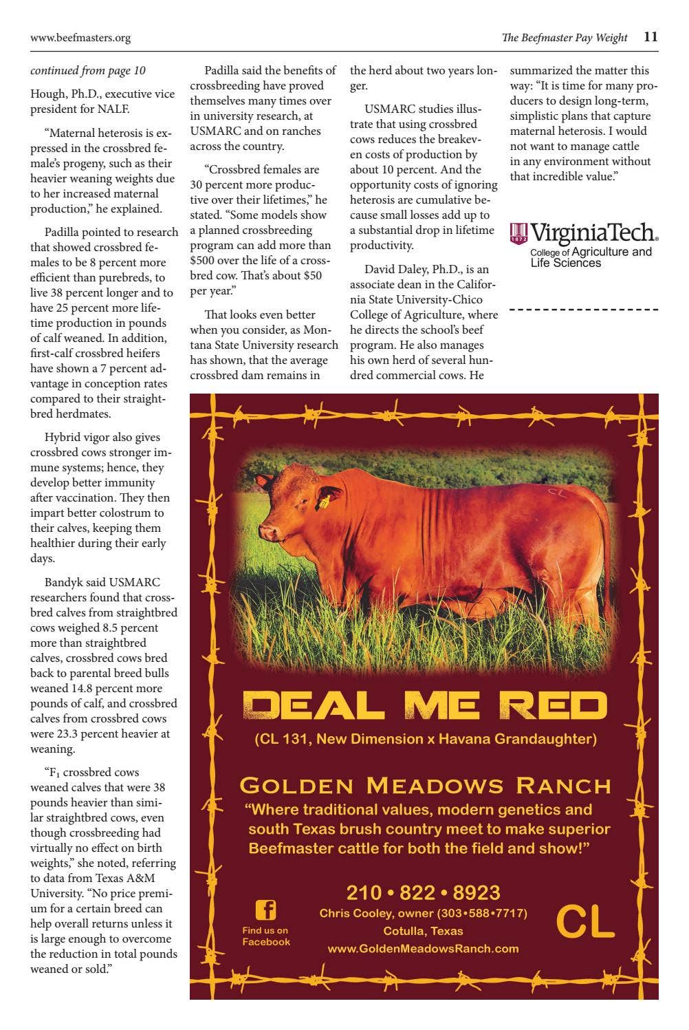 The Beefmaster Pay Weight - Spring 2017 by Beefmaster Breeders United ...