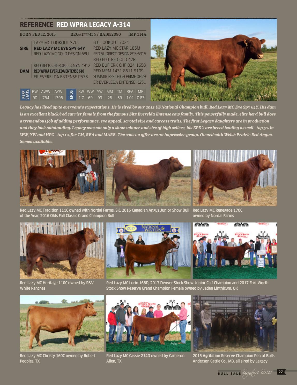 2017 Signature Series Bull Sale by Catalogs by Top Stock - Issuu
