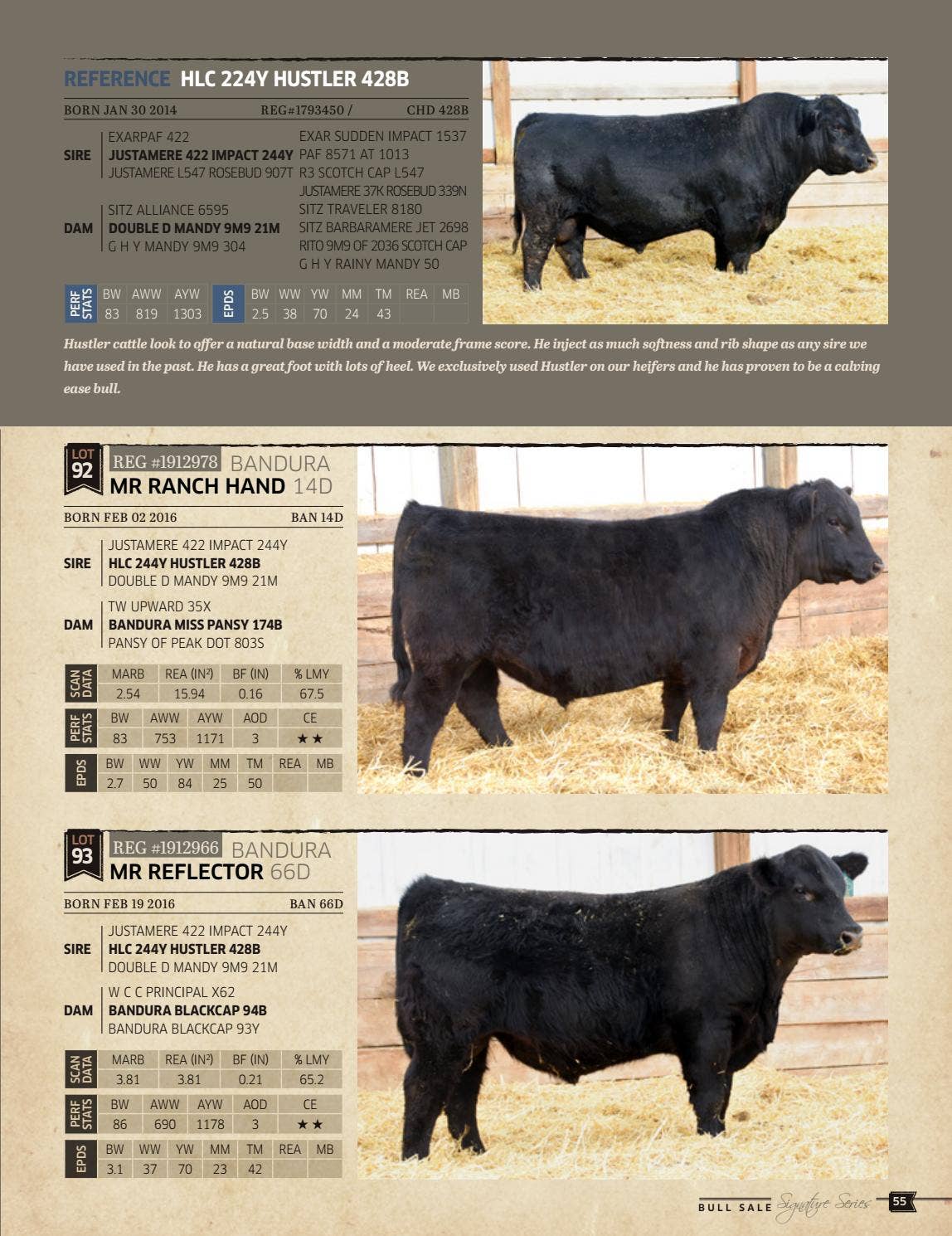 2017 Signature Series Bull Sale by Catalogs by Top Stock - Issuu