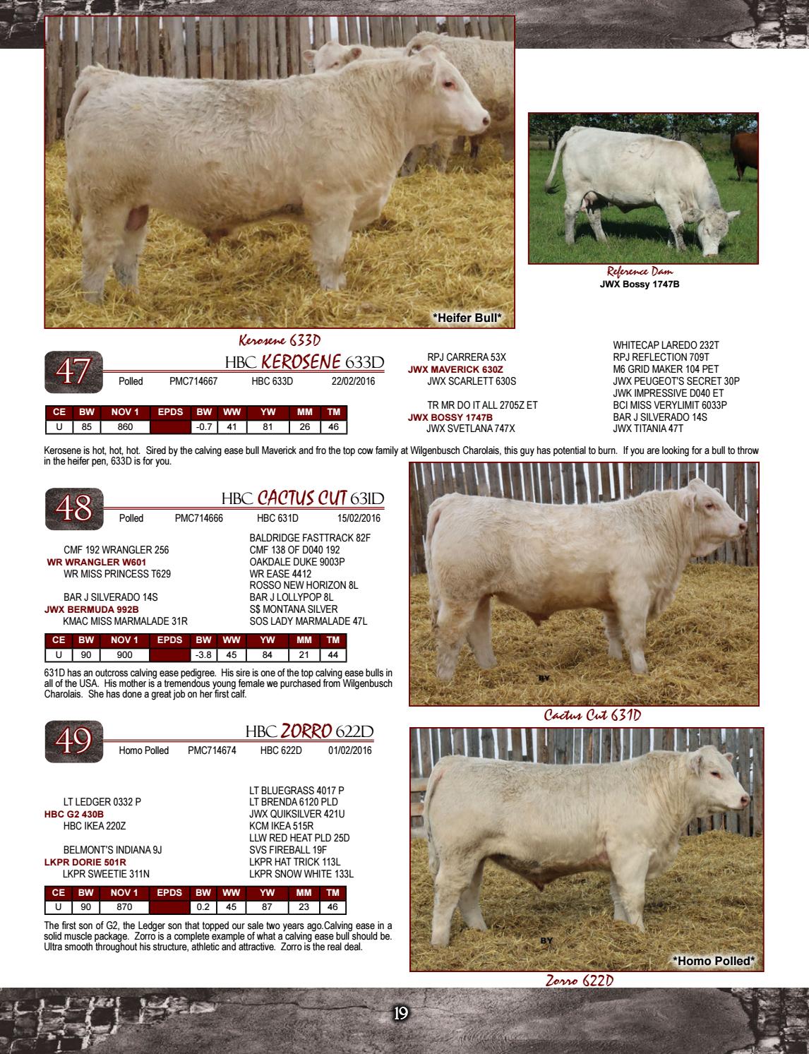The Best of the Breeds Bull Sale by Today's Publishing Inc. - Issuu